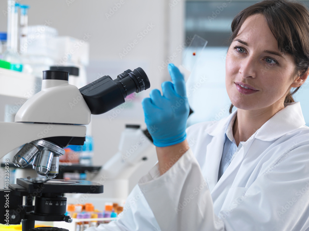 Scientist viewing human blood sample on glass slide in laboratory Stock ...