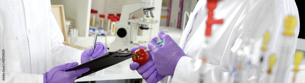 Gentechnik im Labor Genfood Lebensmittel Stock Photo | Adobe Stock