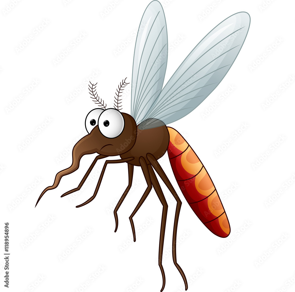 mosquito cartoon Stock Vector | Adobe Stock