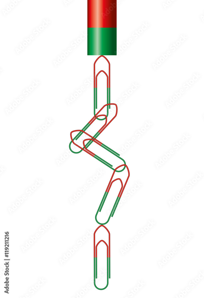 Temporary magnetized paper clips hanging on a bar magnet. Each ...