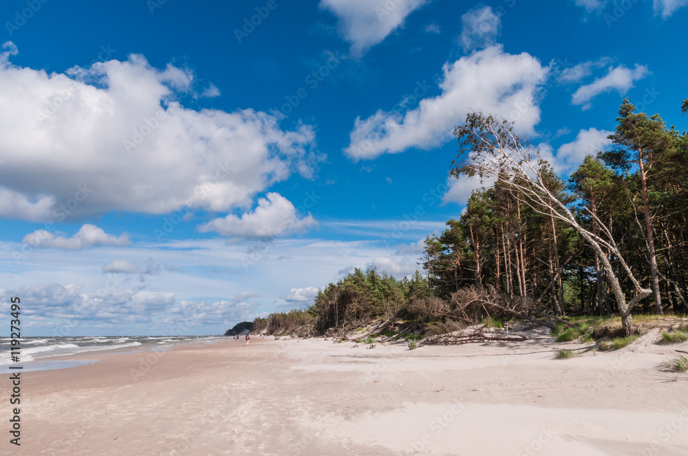 Ostseestrand bei Leba (Łeba); Pommern, Polen Stock Photo | Adobe Stock