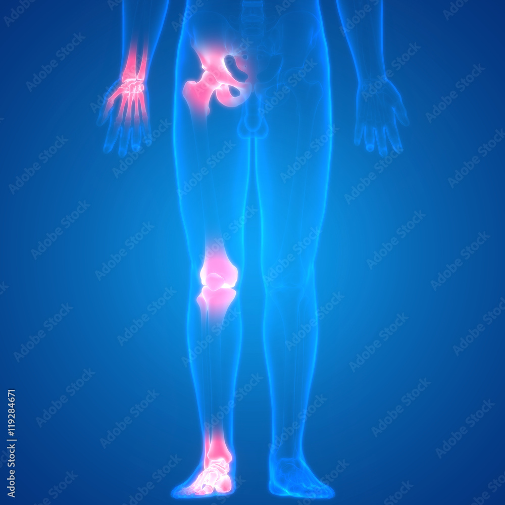 Human Body Bone Joint Pains Anatomy Stock Illustration | Adobe Stock