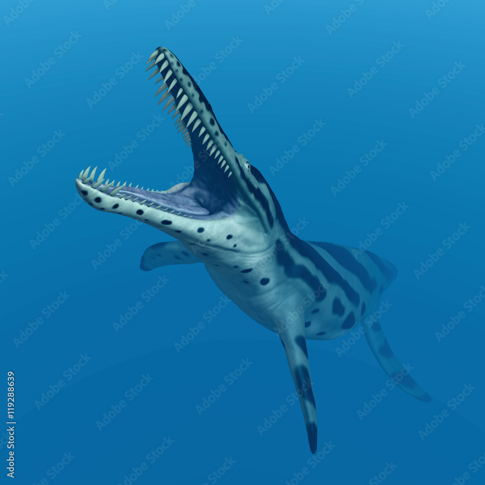 Stock-Illustration „Pliosaurier Kronosaurus“ | Adobe Stock