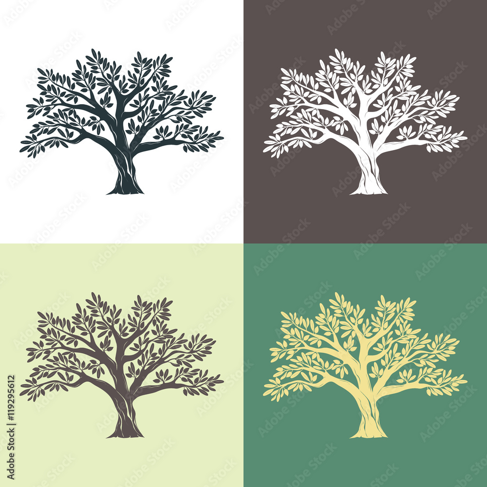 Hand drawn graphic argan trees set on different backgrounds. Vector ...