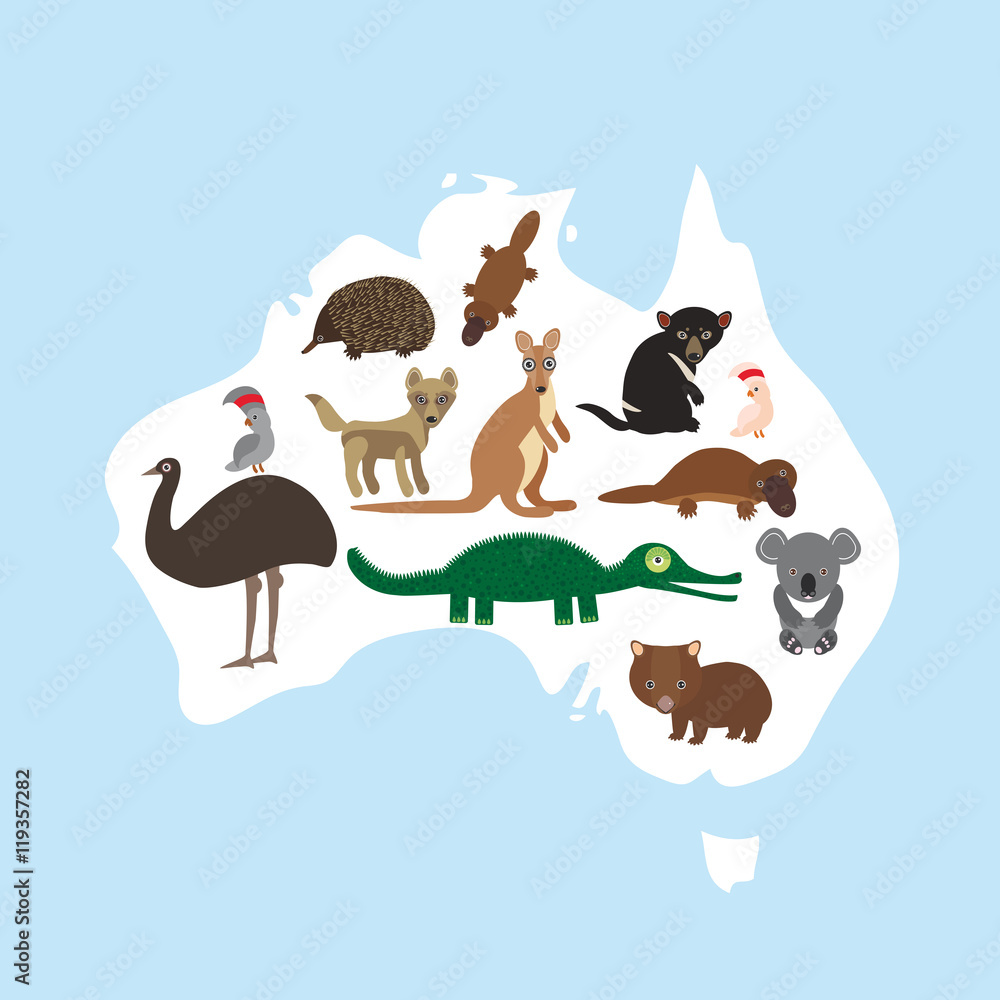 Image vectorielle Stock map of Australia. Echidna Platypus ostrich Emu ...