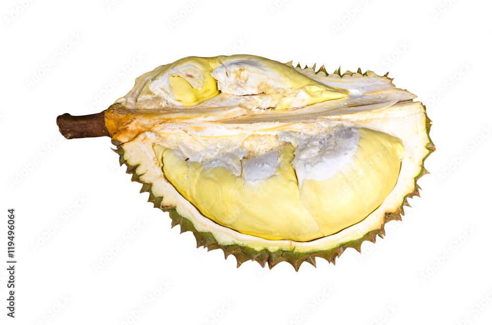 durian species Monthong Thailand isolated on white background. Stock ...