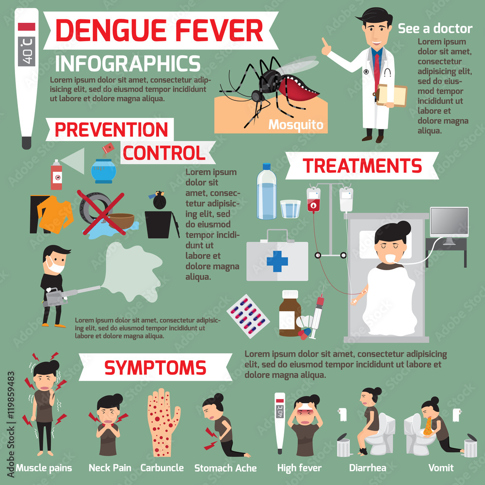 Dengue fever infographics. template design of details dengue fev Stock ...