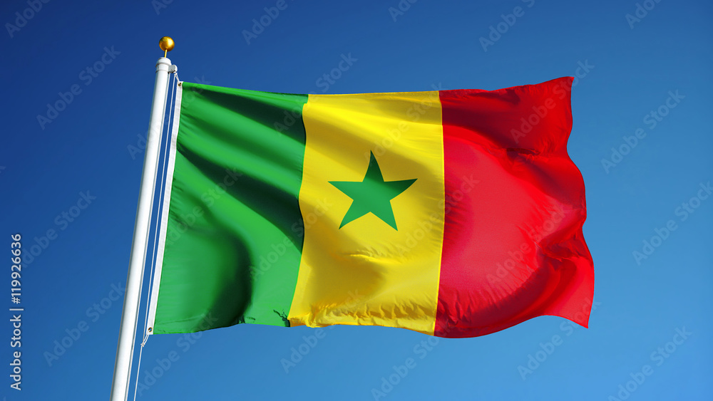 Senegal flag waving against clean blue sky, close up, isolated with ...