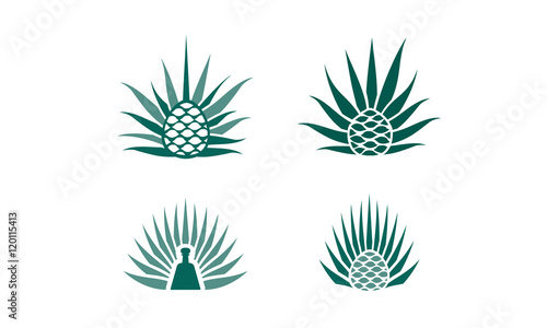 agave plant logo Stock Vector | Adobe Stock