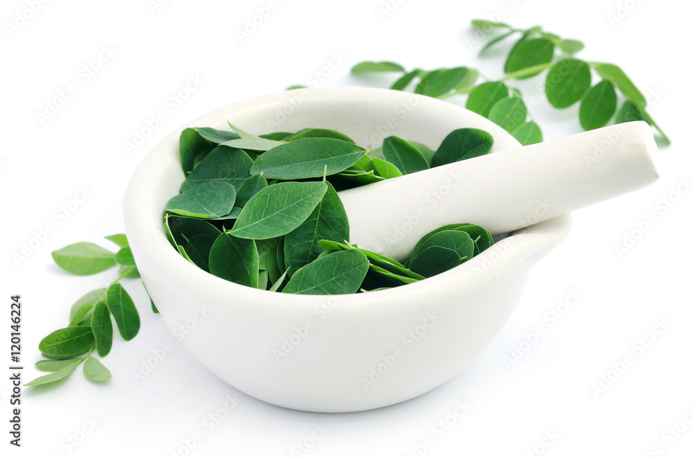 Edible moringa leaves with mortar and pestle Stock Photo | Adobe Stock