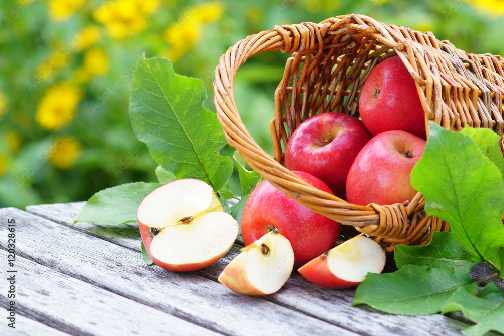 Apples, Apfel, Äpfel, Korb mit Äpfeln, Apfelernte, Ernte ...