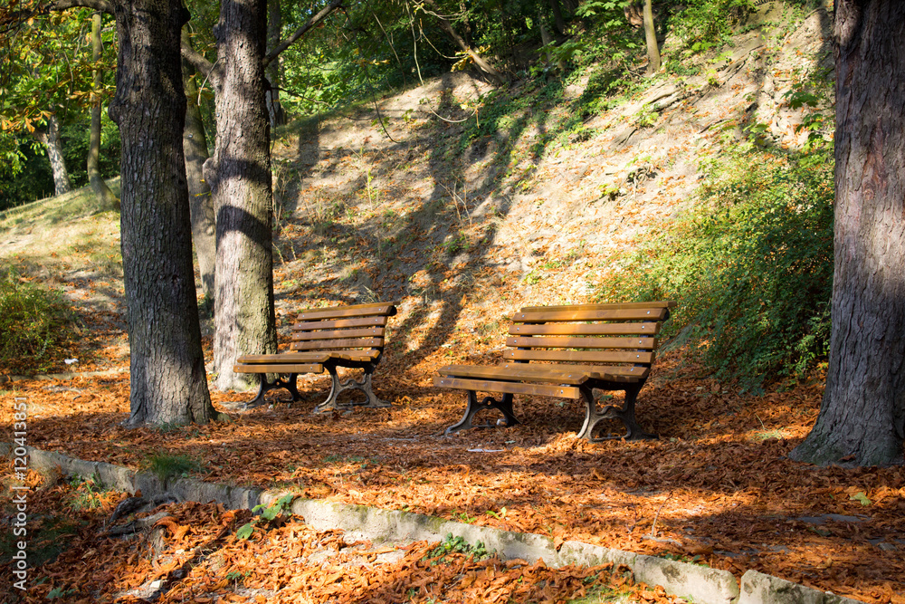 Park in the fall with two benches Stock Photo | Adobe Stock