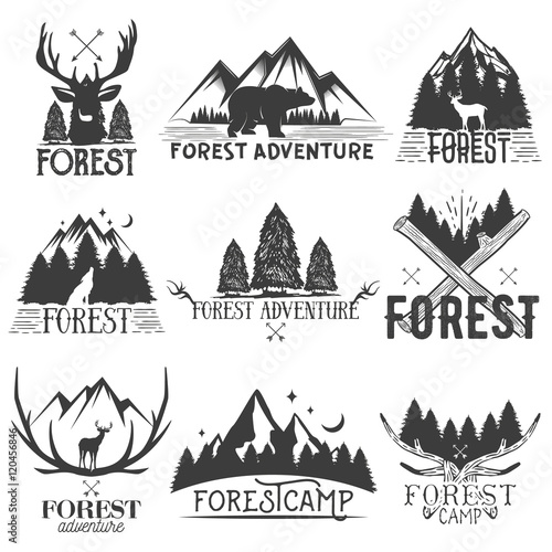 Vector set of forest theme emblems. Vintage badges, logos, labels and ...