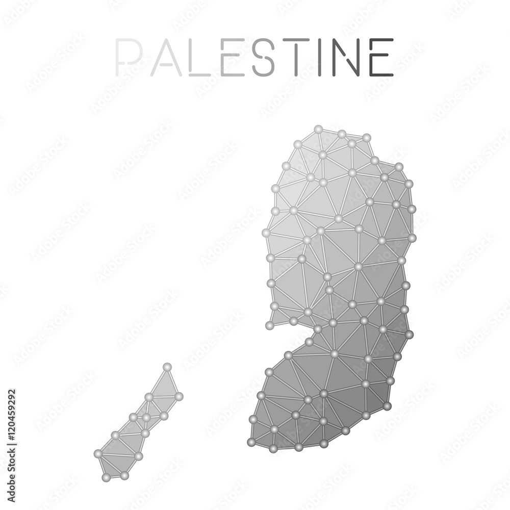 Polygonal vector map of Palestine, showcasing a molecular structure ...