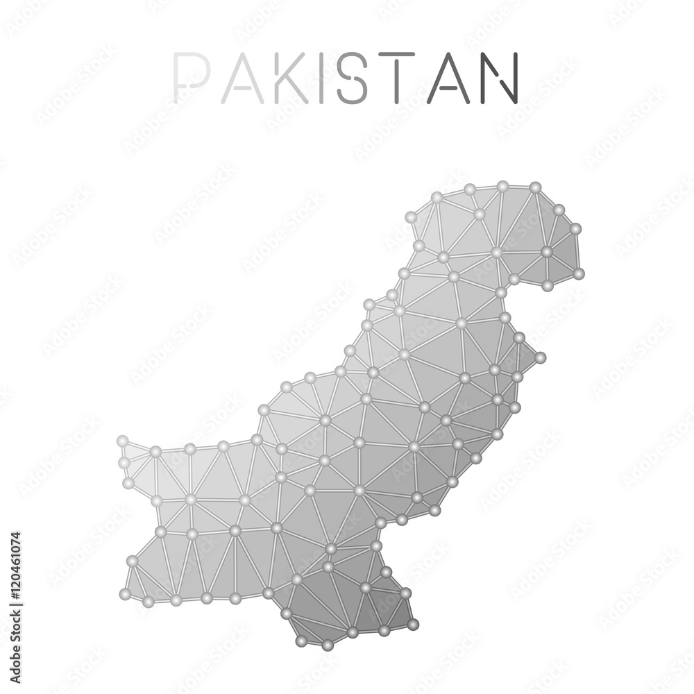 Pakistan polygonal vector map. Molecular structure country map design ...