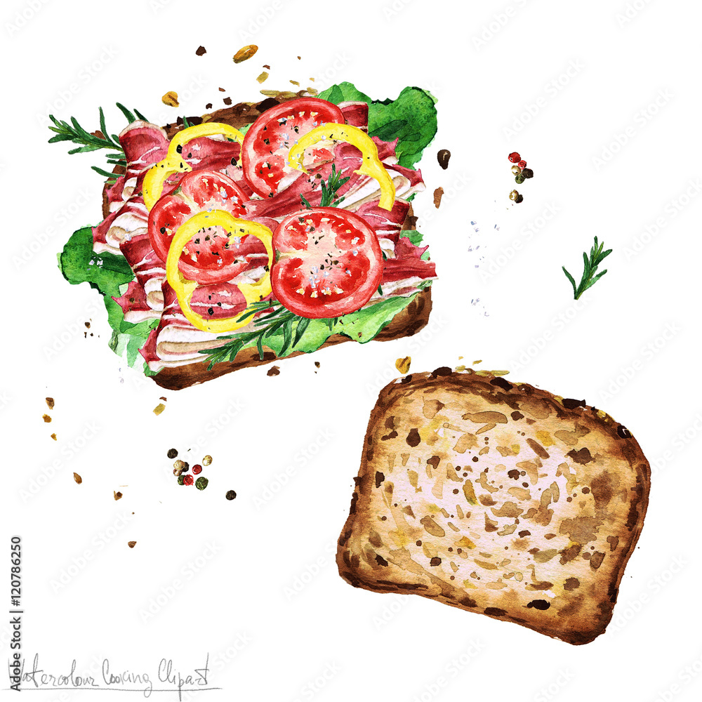 Watercolor Food Clipart - Sandwich Stock Illustration | Adobe Stock