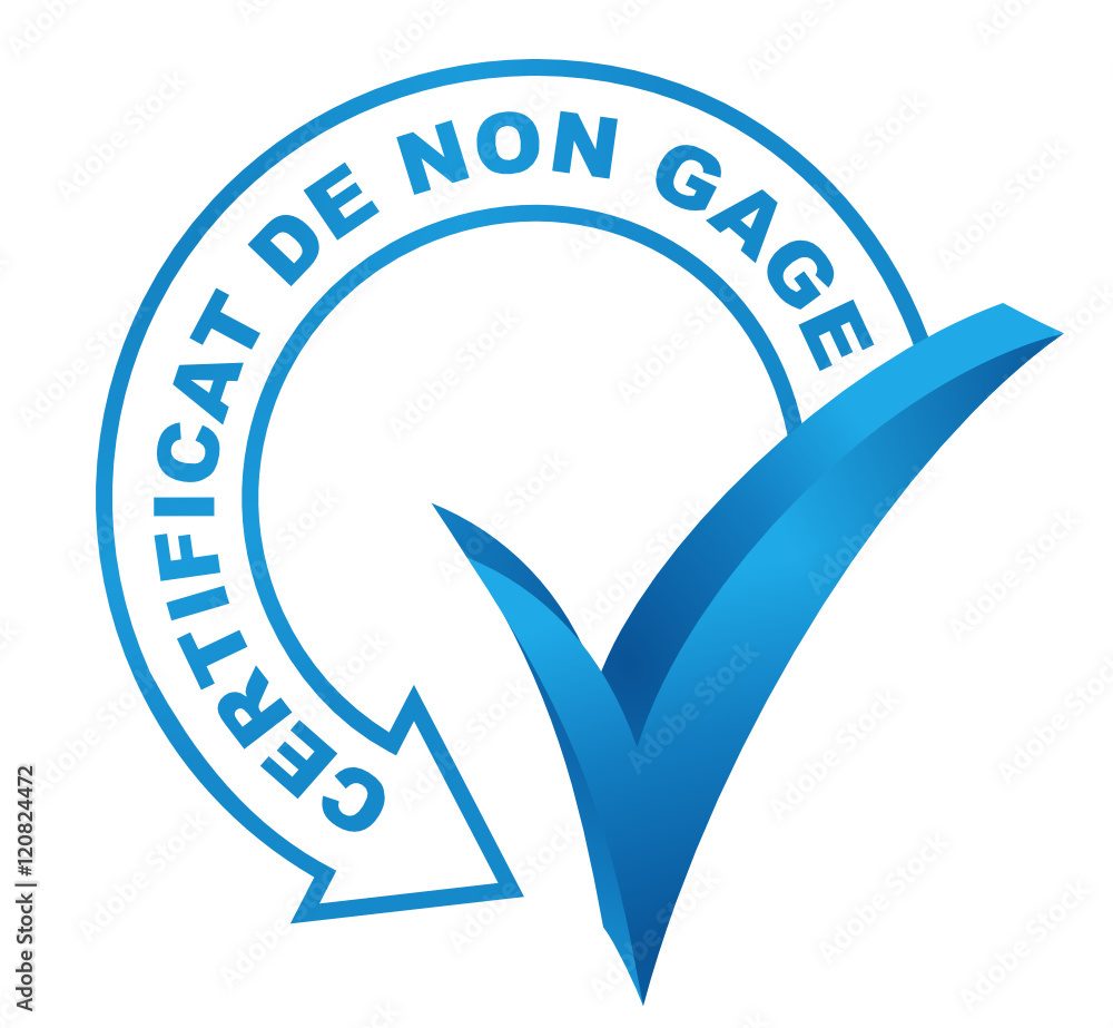 certificat de non gage sur symbole validé bleu Stock Vector | Adobe Stock