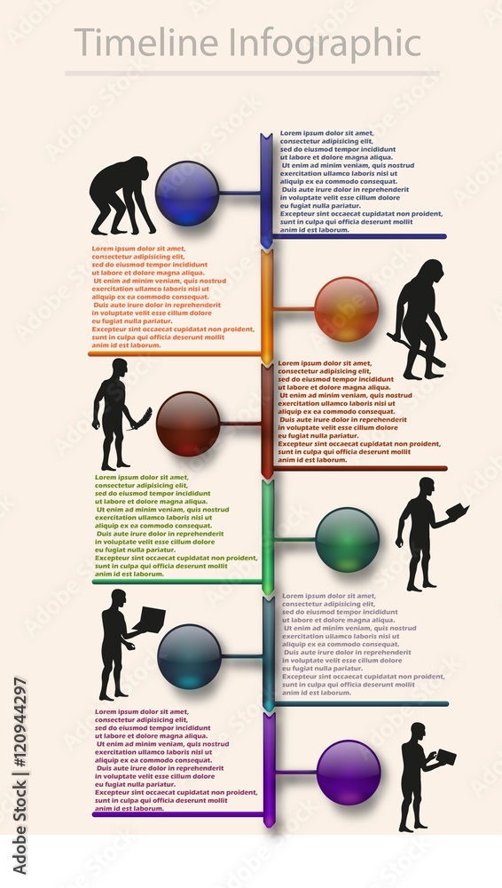 Human evolution timeline infographic Stock Vector | Adobe Stock