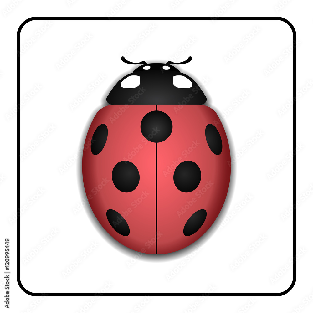 Ladybug small icon. Red lady bug sign, isolated on white background. 3d ...