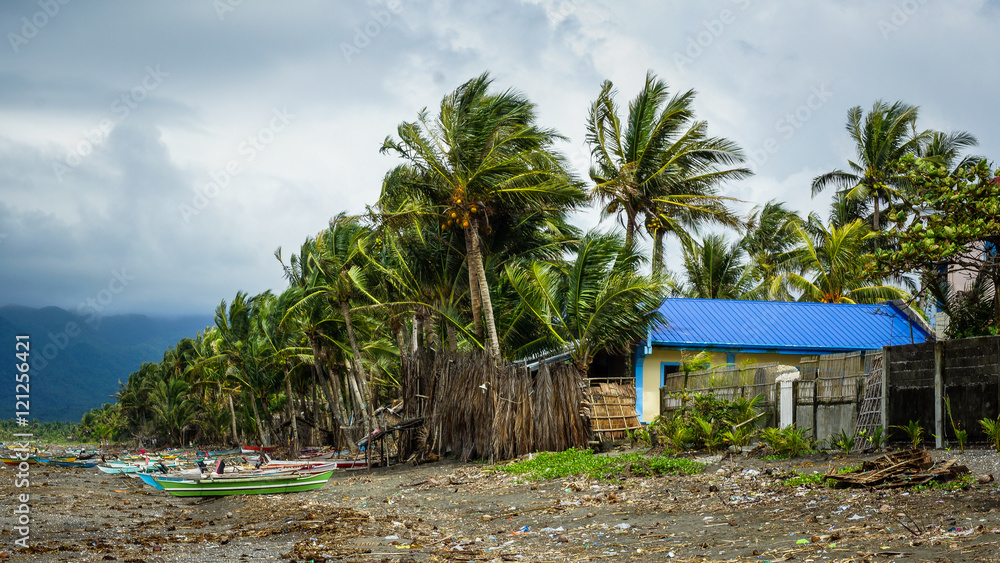Typhoon Winds Blowing Debris Through Coconut Trees on Beach - Aklan ...
