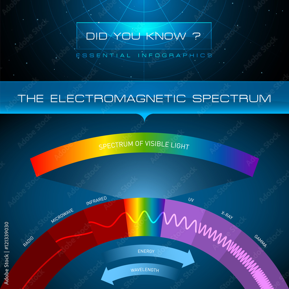 Vector Infographic - The Electromagnetic Spectrum Stock Vector | Adobe ...