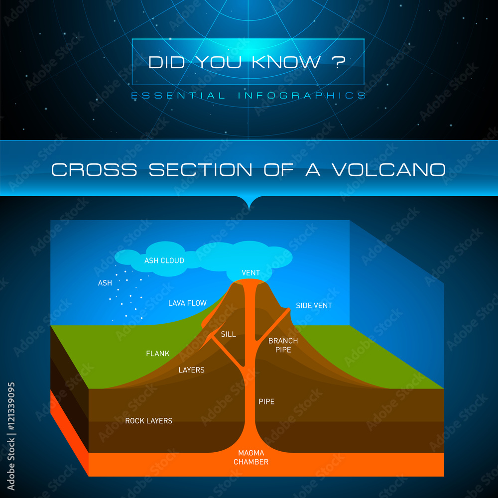 Vector Infographic - Cross Section of Volcano Stock Vector | Adobe Stock
