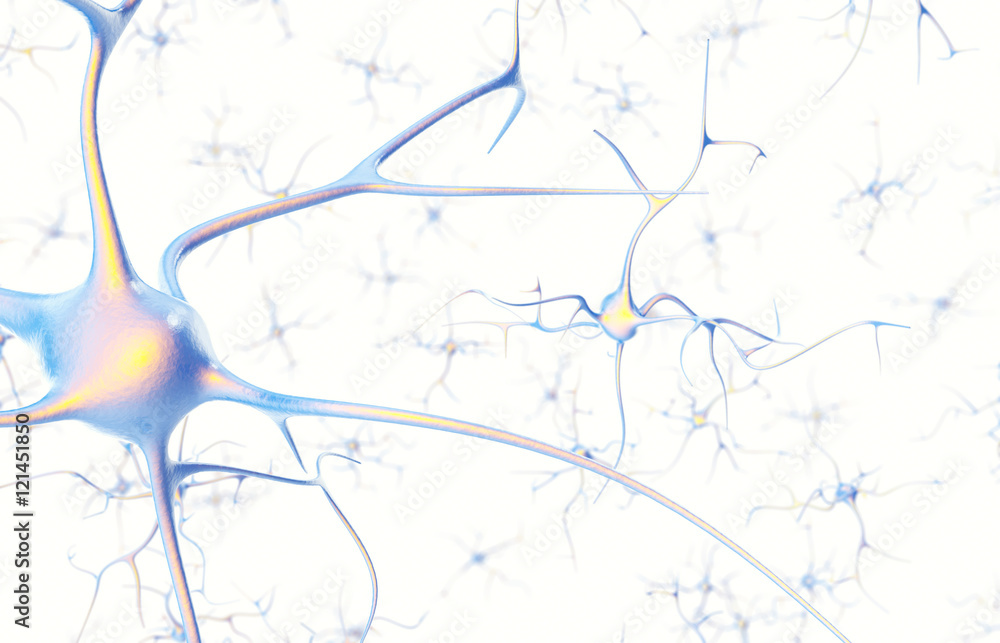 Neurons in the brain on white background with focus effect. 3d ...
