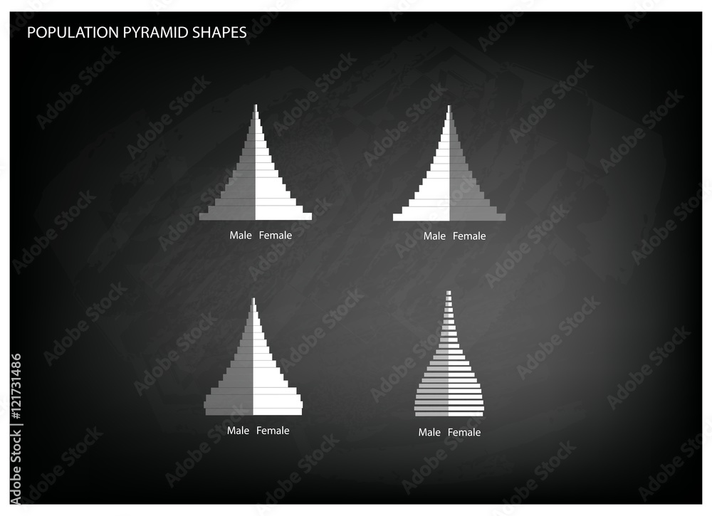 The 4 Types of Population Pyramids Graphs Stock Vector | Adobe Stock