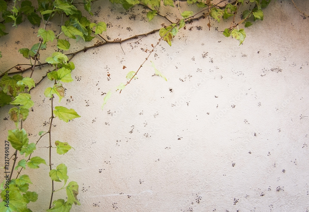 Vine wall marks background Stock Photo | Adobe Stock