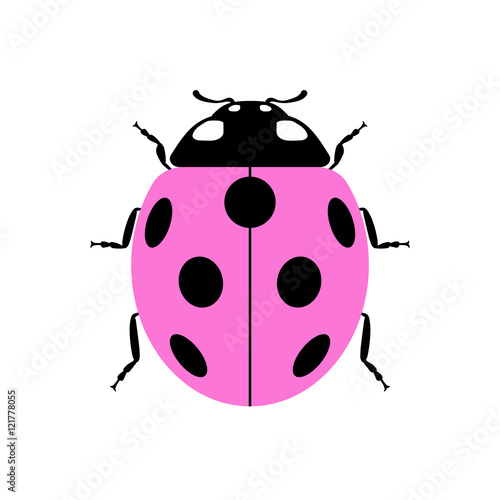 Ladybug small icon. Pink lady bug sign, isolated on white background ...