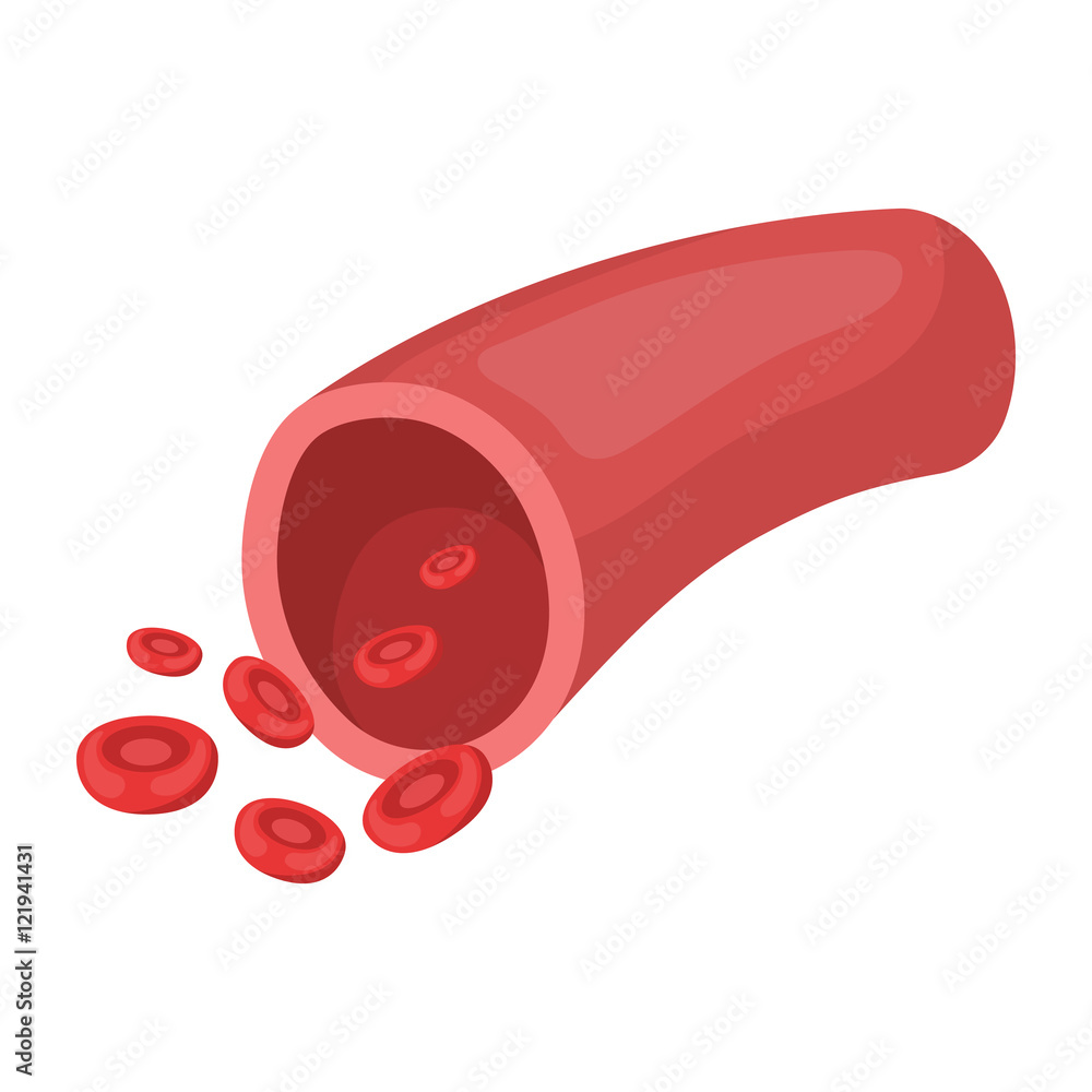 Blood vessel icon in cartoon style isolated on white background. Organs ...