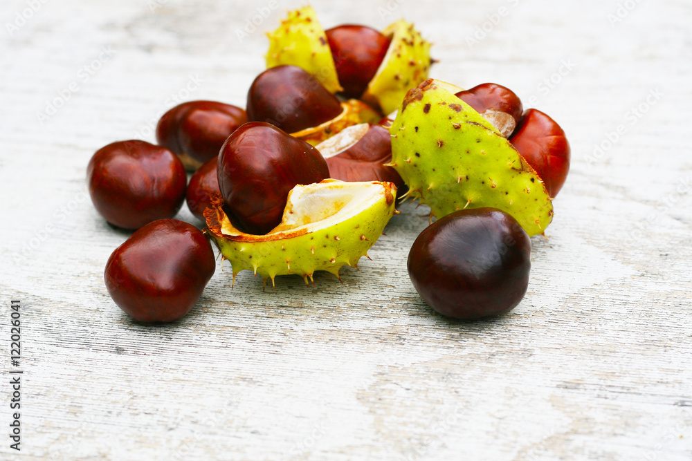 Stock-Foto „Herbst - Frische Früchte der Kastanie mit geplatzter Schale ...