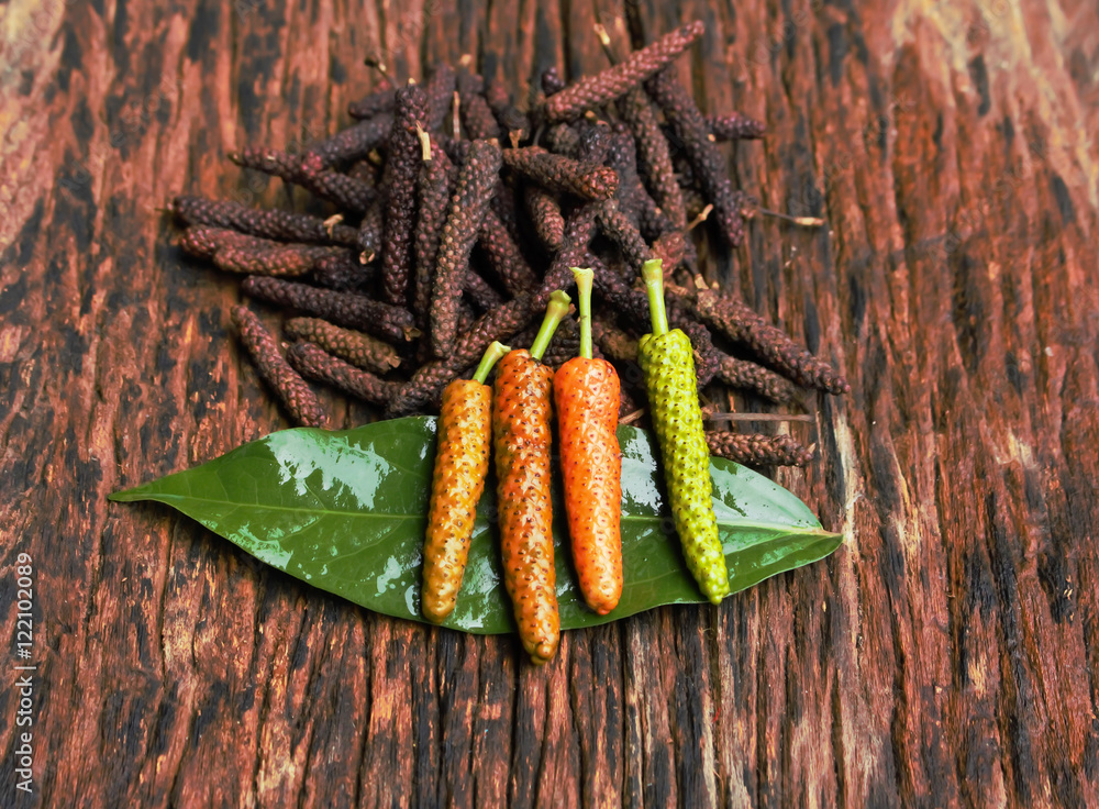 Long Pepper, Indian long pepper, Javanese long pepper (Piper ...