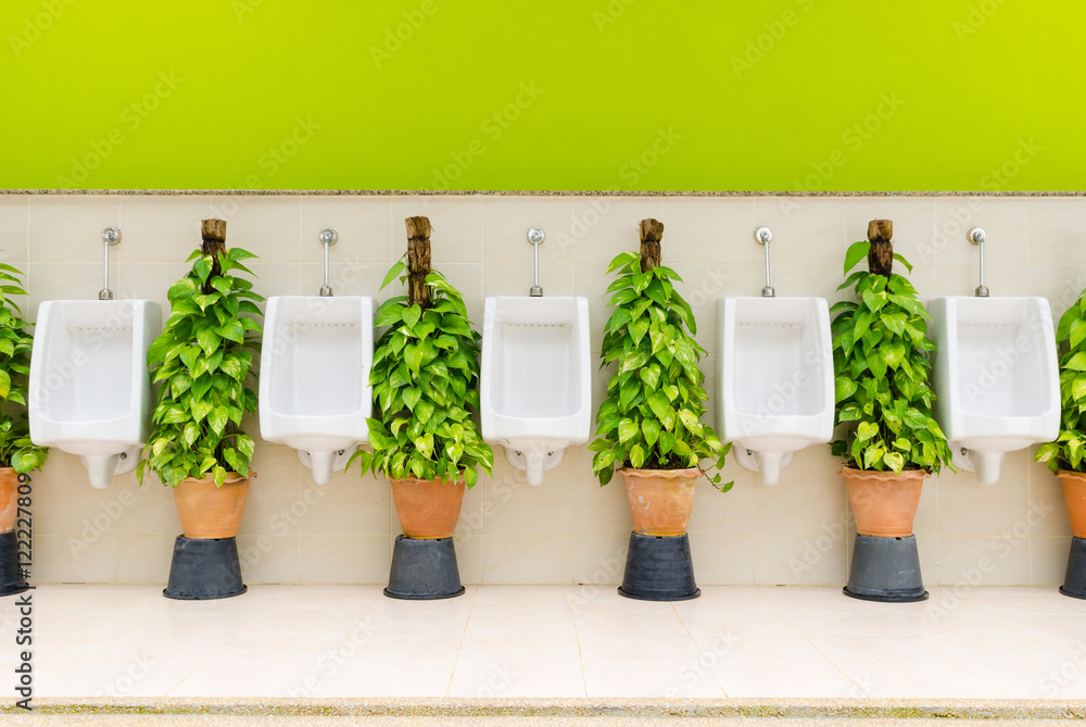 restroom interior with white urinal row and ornamental plants Stock ...