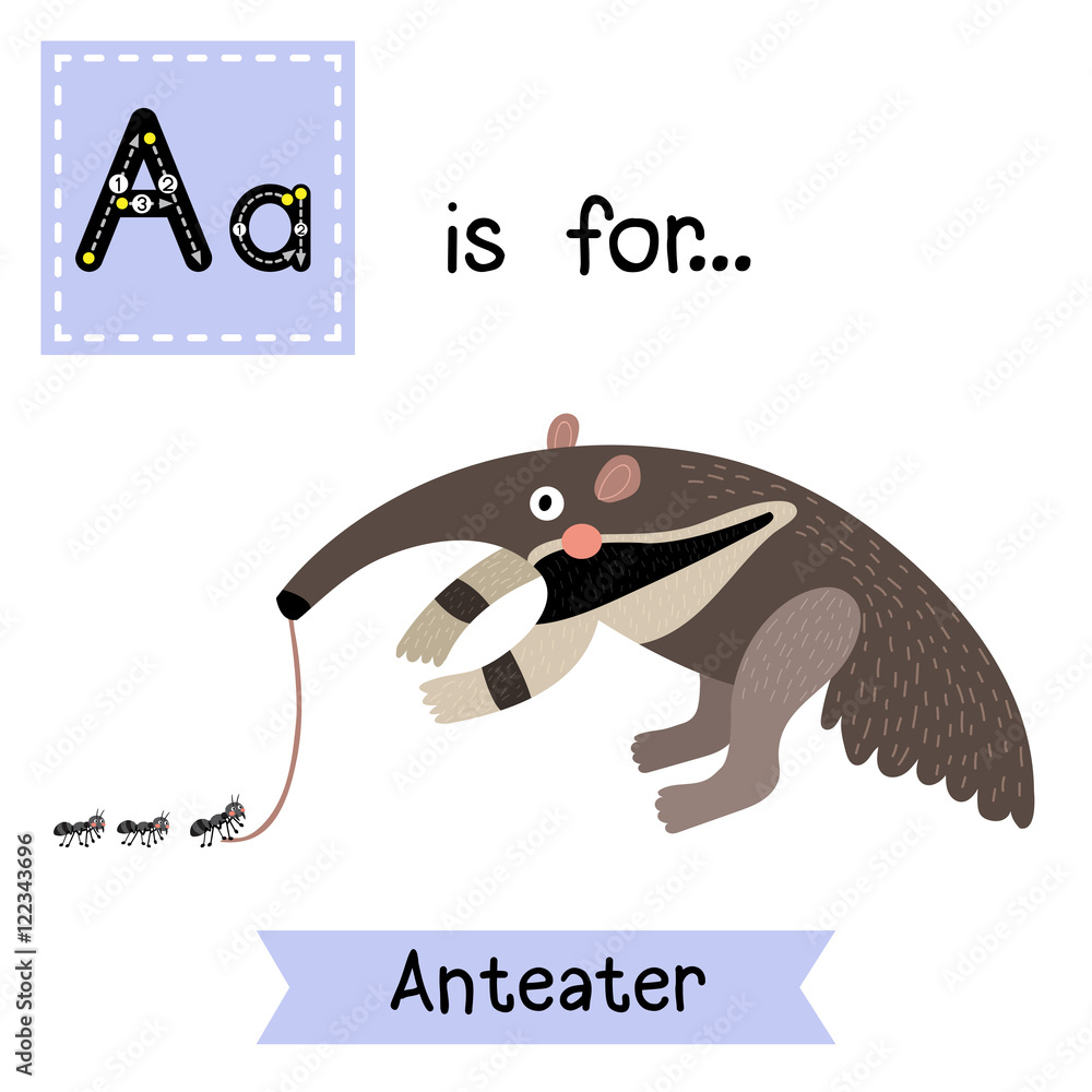 A letter tracing. Anteater. Cute children zoo alphabet flash card ...