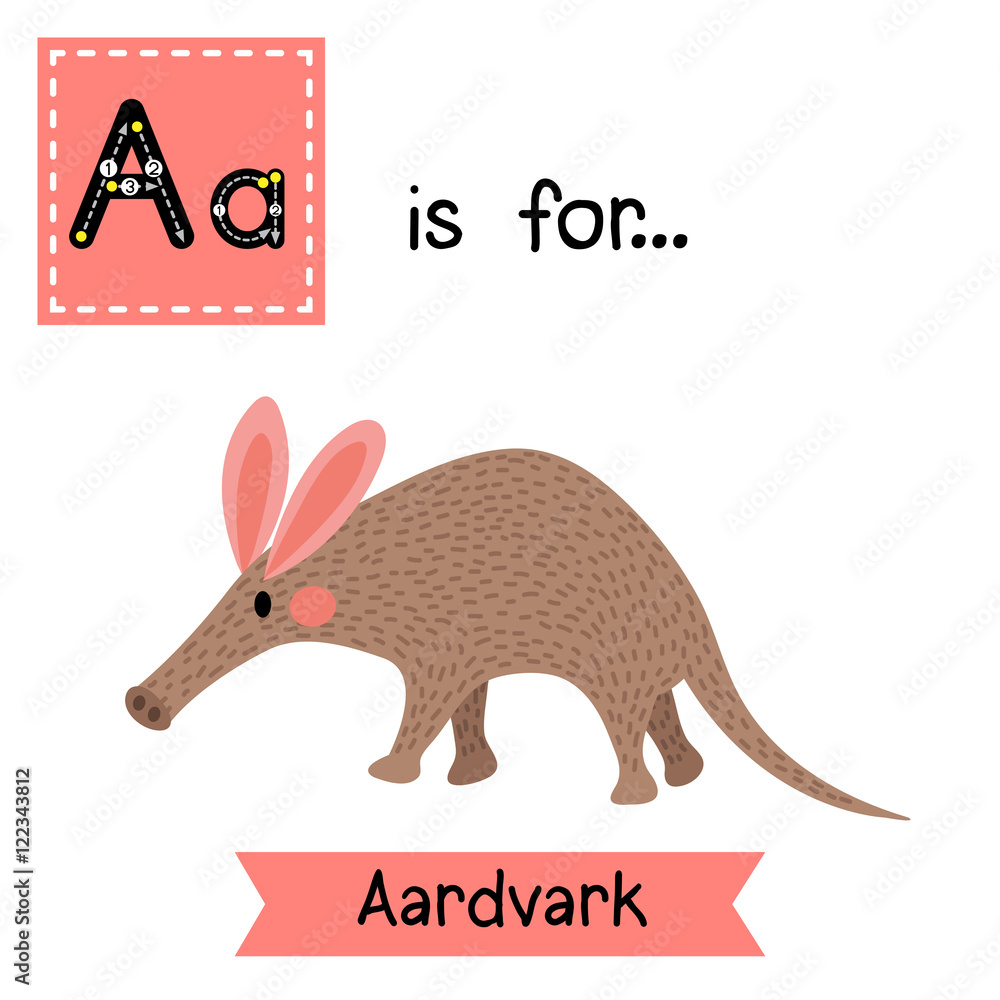A letter tracing. Walking Aardvark. Cute children zoo alphabet flash ...