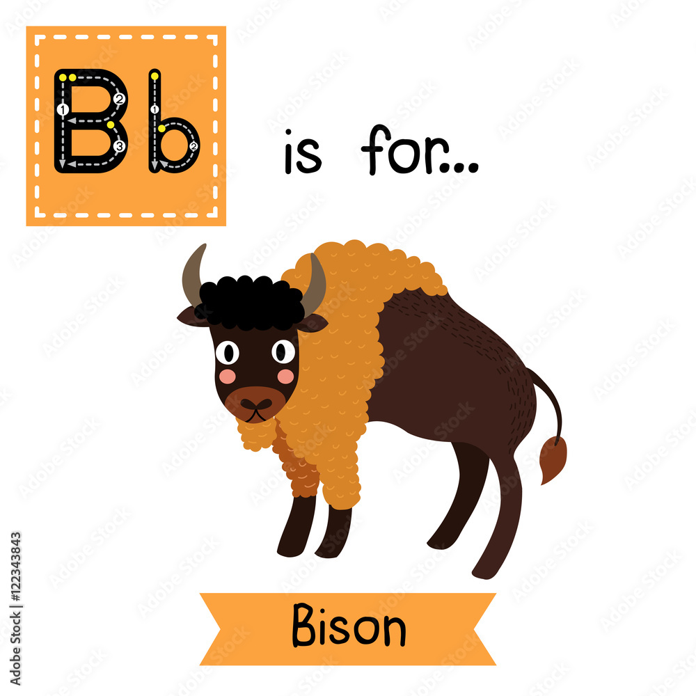 B letter tracing. Bison. Cute children zoo alphabet flash card. Funny ...