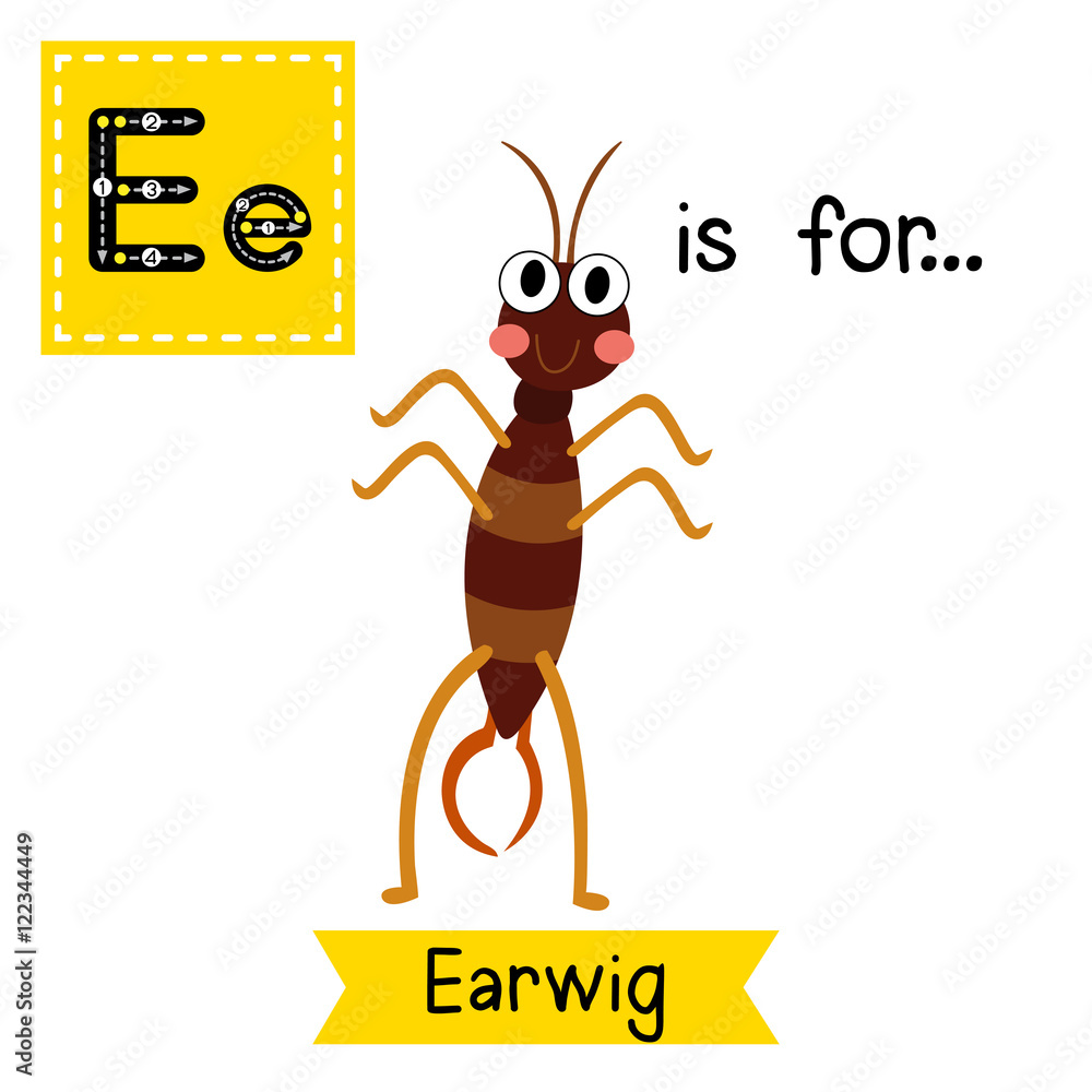 Vetor do Stock E letter tracing. Earwig standing on two legs. Cute ...