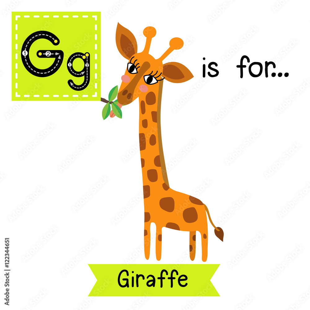 G letter tracing. Giraffe eating leaves. Cute children zoo alphabet ...