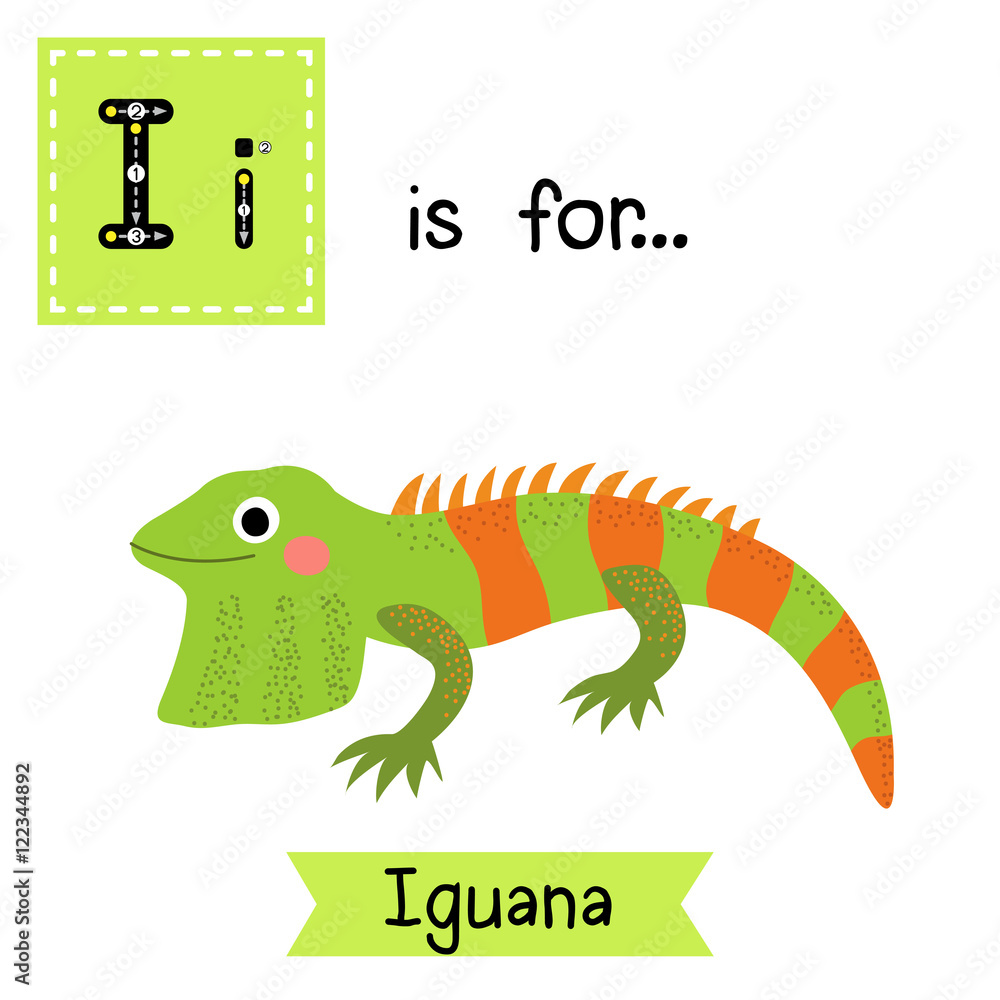 I letter tracing. Iguana lizard reptile. Cute children zoo alphabet ...