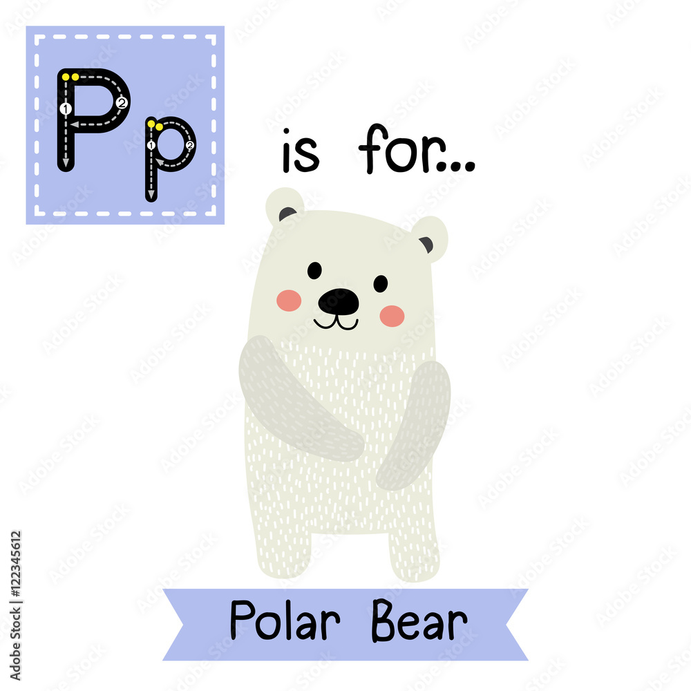 P letter tracing. Polar Bear standing on two legs. Cute children zoo ...