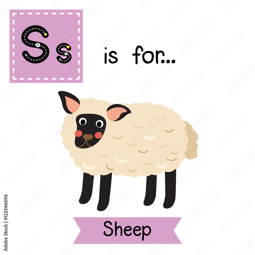 S letter tracing. Suffolk standing Sheep. Cute children zoo alphabet ...