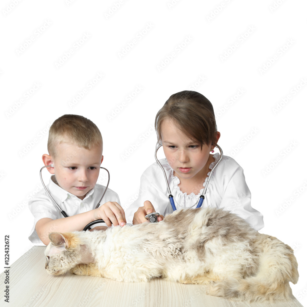 Boy and girl playing veterinarian with focus on cat isolated on square ...