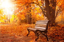 Autumn Bench Free Stock Photo - Public Domain Pictures