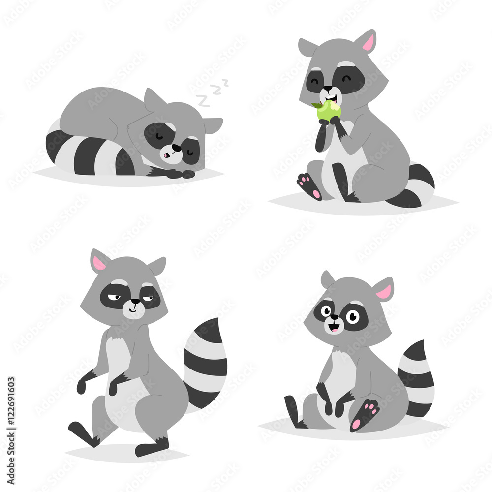 Cartoon raccoon vector illustration. Stock Vector | Adobe Stock