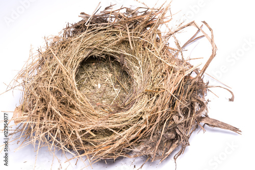 empty bird nest isolated on white background - Top view Stock Photo ...