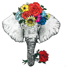 Elephant Floral Roses Free Stock Photo - Public Domain Pictures
