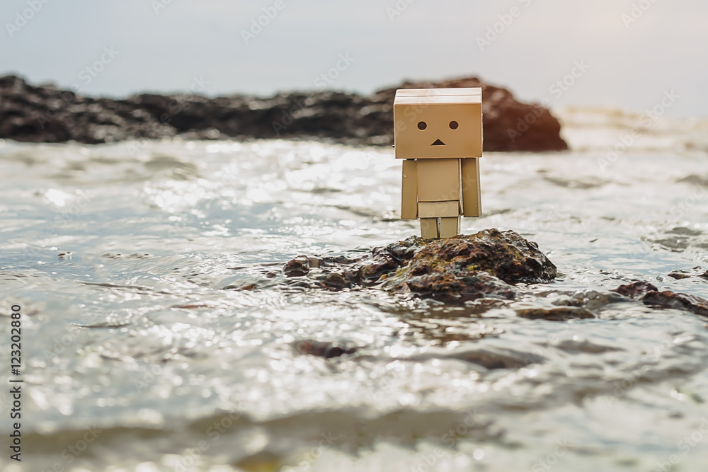 Danbo danboard box holding a flower with sad face. Danbo first appeared ...