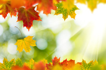 Autumn Peace Love Poster Free Stock Photo - Public Domain Pictures