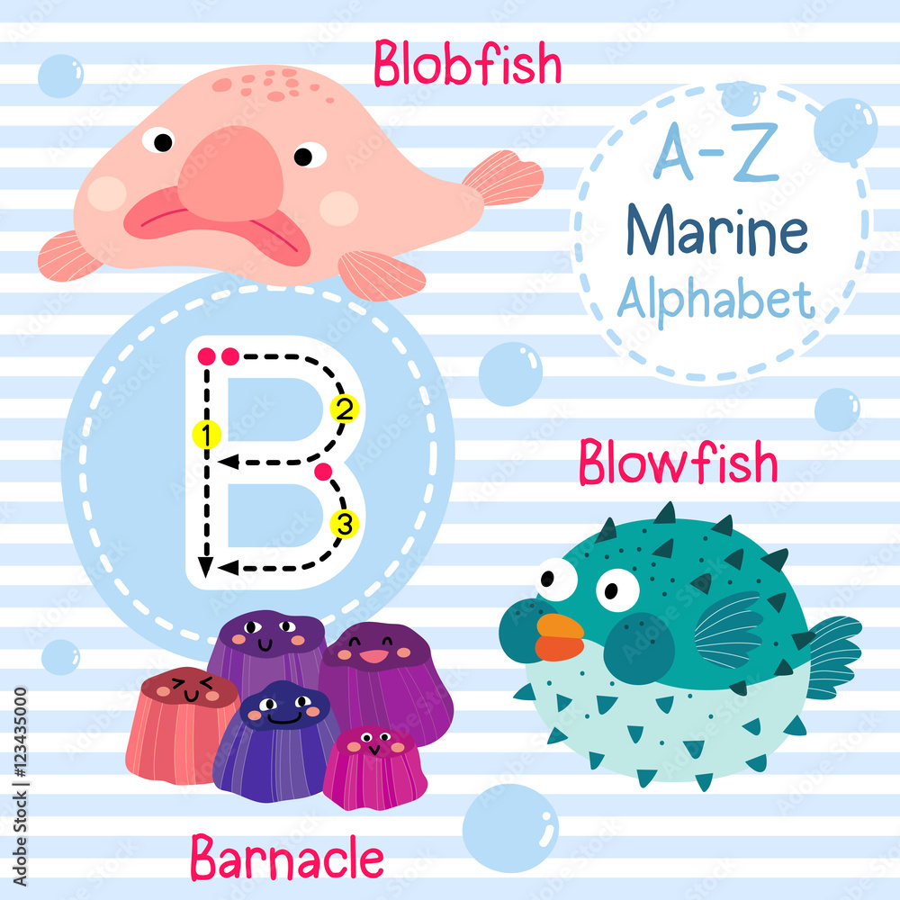 B letter tracing. Blowfish. Blobfish. Barnacle. Cute children sea ...